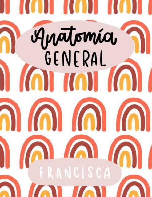 Anatomía 1 | paz roca | uDocz