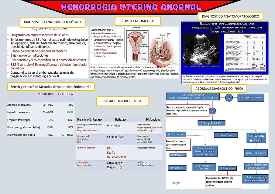 Hemorragia Uterina Anormal Diagnostico AnatomopatolÓgico Mishelle