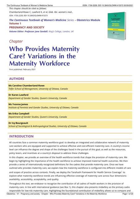 Who Provides Maternity Care? Variations in the Maternity Workforce ...