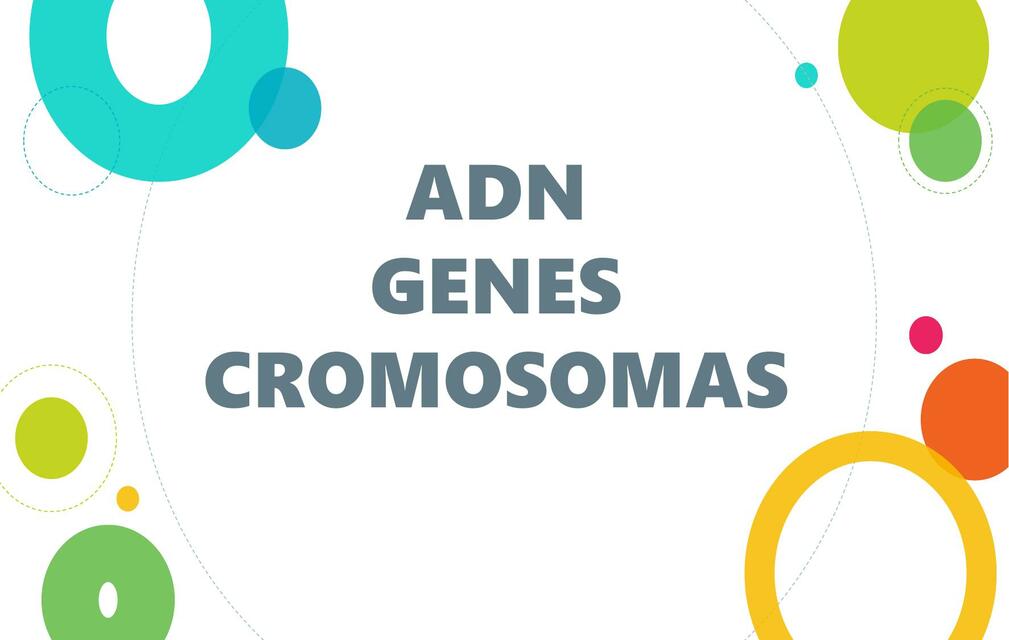 ADN, genes cromosomas | Evelyn Culqui | uDocz