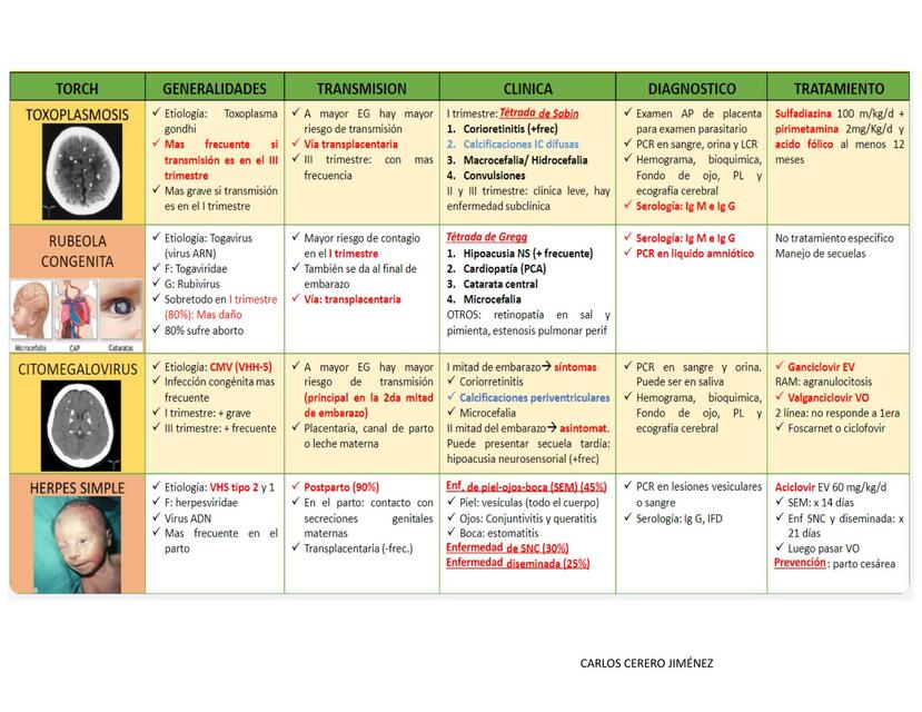 TORCH | Carlos Jimenez | uDocz