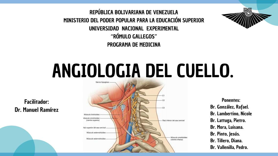 Angiología del Cuello | Anny karina Gil mujica | uDocz