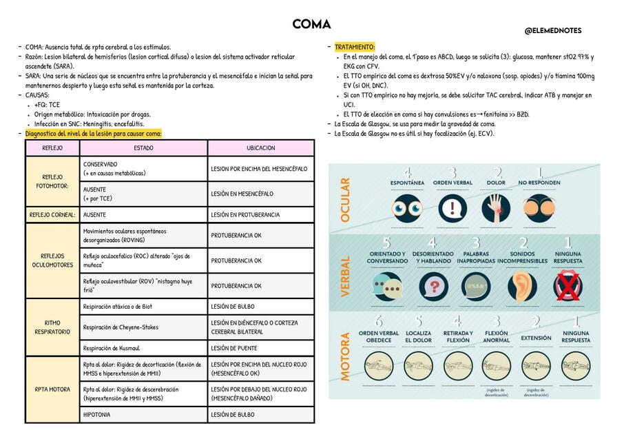Evaluación del paciente en Coma | Abigail Menor Ibañez | uDocz