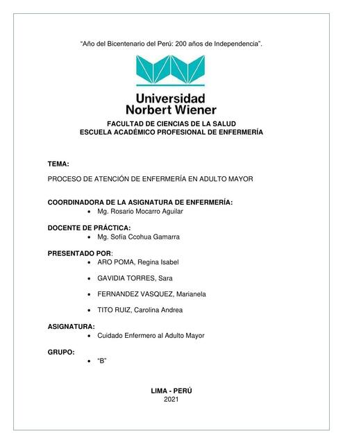 Proceso de Atención de Enfermería en Adulto Mayor | Erica AF | uDocz