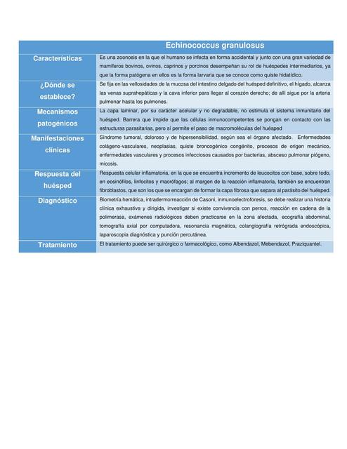 Cuadro comparativo Hidatidosis | Dayra Denisse Valera Nuño | uDocz