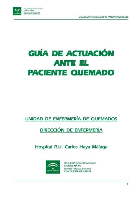 Guía de Actuación ante el Paciente Quemado | Carlos Toledo | uDocz