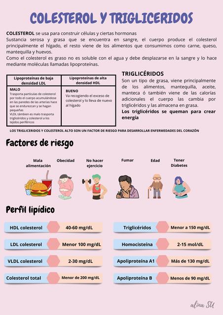 Colesterol y trigliceridos | ALINA Sánchez Urbina | uDocz