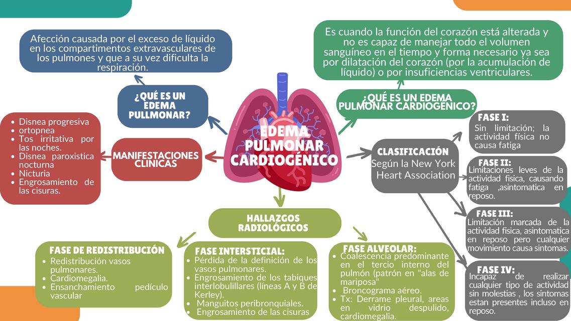Diagrama De Edema Pulmonar Edema Pulmonar | Shary Bettin | UDocz