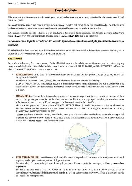 Canal de parto | Emi Pereyra | uDocz