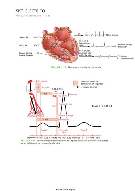 Ekg notas | Cristian Pérez Rivas | uDocz