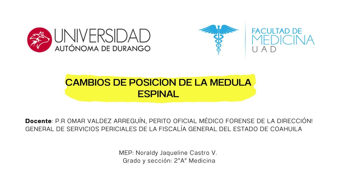 Cambios de posición de la médula espinal | DR OMAR VALDEZ ARREGUIN | uDocz