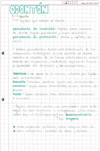 Odontón | Consu Odonto :) | uDocz