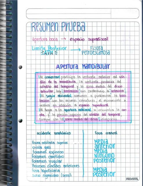 Resumen prueba Cráneo Anatomía | Consu Odonto :) | uDocz