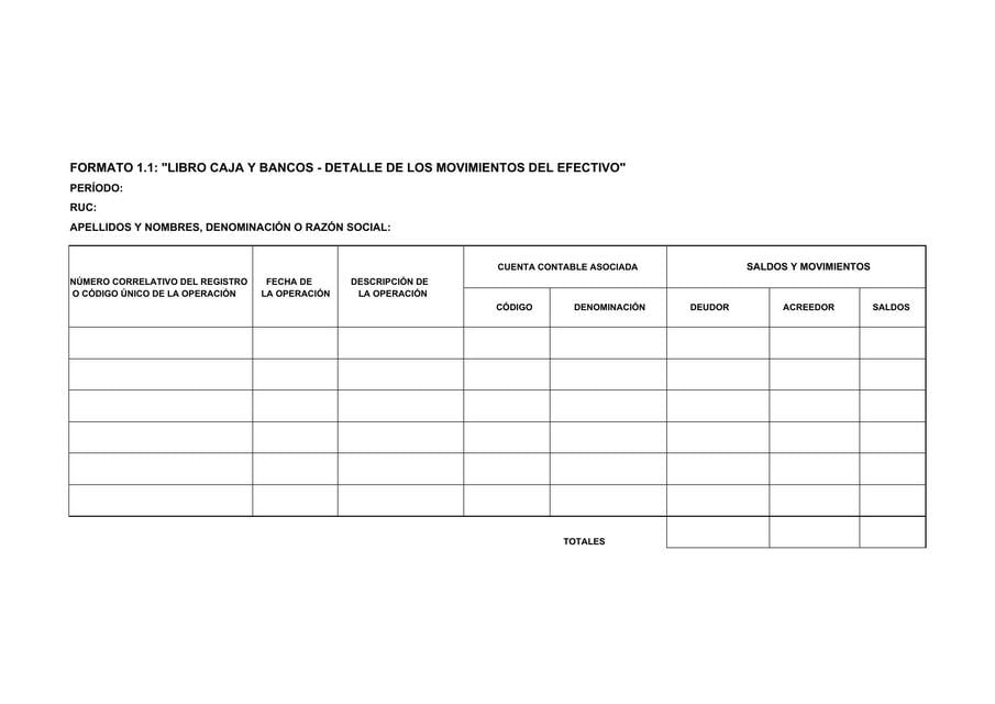 FORMATO 1 1 LIBRO CAJA