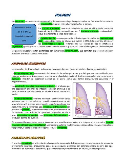 Resúmenes de Patología pulmonar | Descarga apuntes de Patología pulmonar