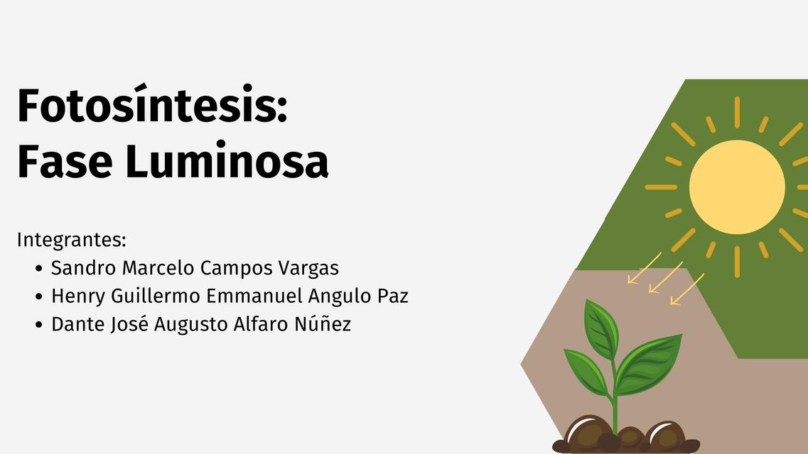 Fotosíntesis Fase Luminosa | uDocz