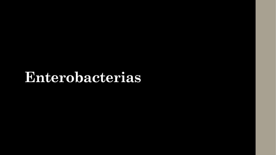 Enterobacterias - E coli, Salmonella, Shigella, Yersinia | uDocz | uDocz