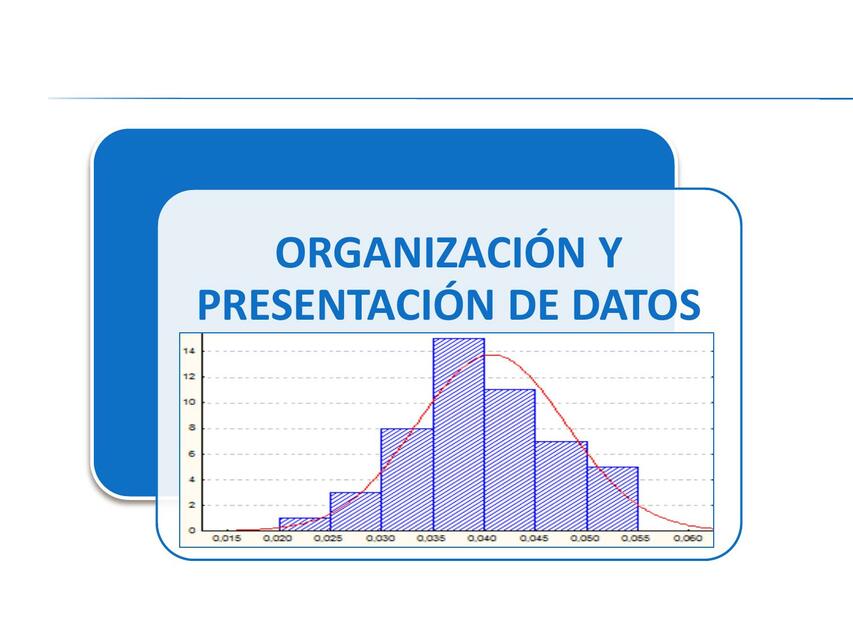 Organización y presentación de datos | SAYURI ROXANA VICENTE CARUZ | uDocz