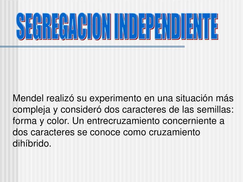 segregaci-n-independiente-geraldine-cuevas-udocz