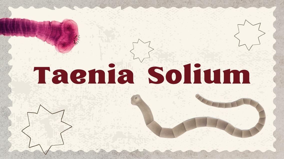 Taenia Solium | Ther Morante | uDocz