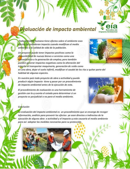 La Evaluación del Impacto Ambiental | alessia PVegas | uDocz