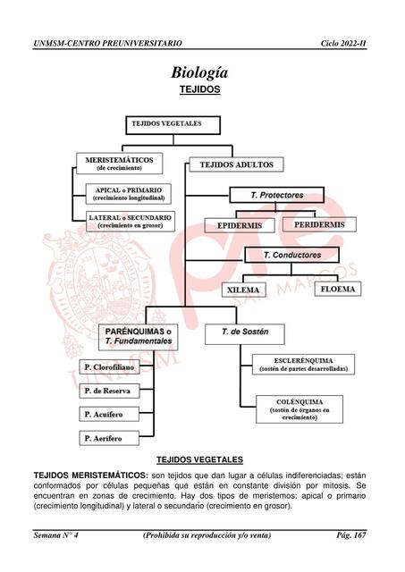 Biología | uDocz