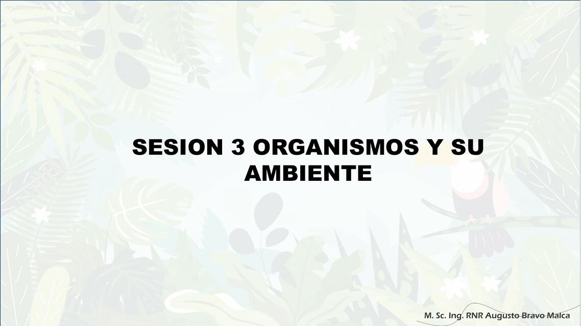 Sesión 3 organismos y su ambiente | Rosa Cabello | uDocz
