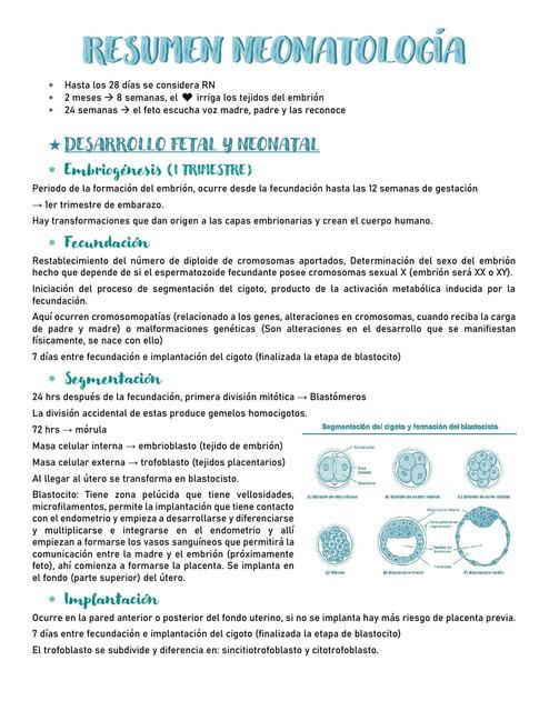Resumen desarrollo fetal, neonatología fisiológica (+ reanimación 7° ed) | Camila Castillo | uDocz