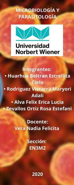 ENTEROCOCCUS | Erica AF | uDocz