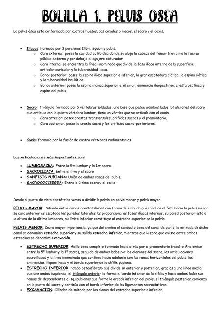 Pelvis ósea Lucía Ruiz Udocz