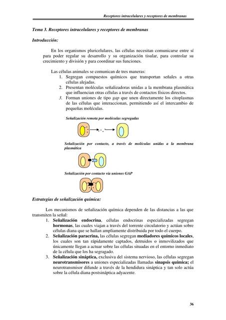 Tema 3. Receptores intracelulares y receptores de membranas | JAPZ | uDocz
