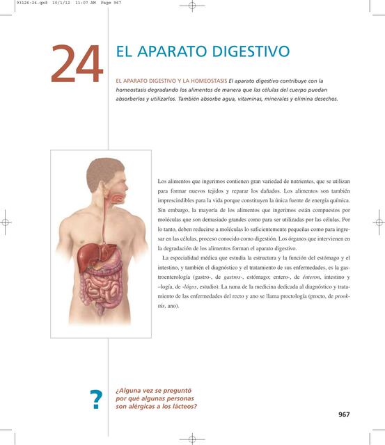 El Aparato Digestivo | Enfermería | uDocz