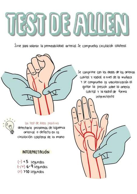 Test de Allen | María José José | uDocz