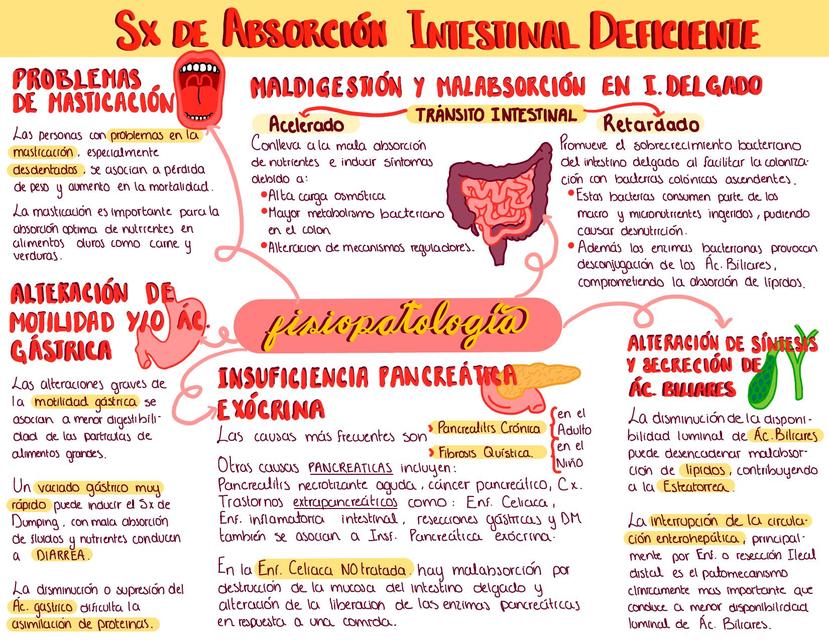 Fisiopatología del síndrome de absorción intestinal deficiente | Tirza ...