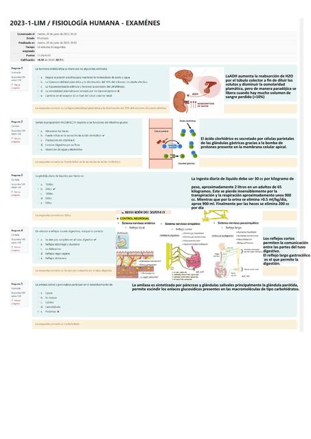 EXAMEN FINAL FISIOLOGÍA 1 GRUPO 1 | Briggitte Yamilé Suarez Esteban | uDocz