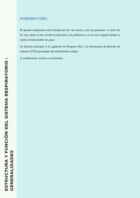 Sistema respirato generalidades | Milena Bustos | uDocz