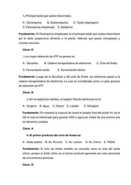 Fotosíntesis | Brissa Daniela Ramirez Montalvo | uDocz