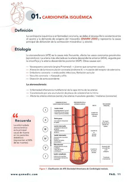 CARDIOLOGÍA QX Medic RM 2024 | uDocz