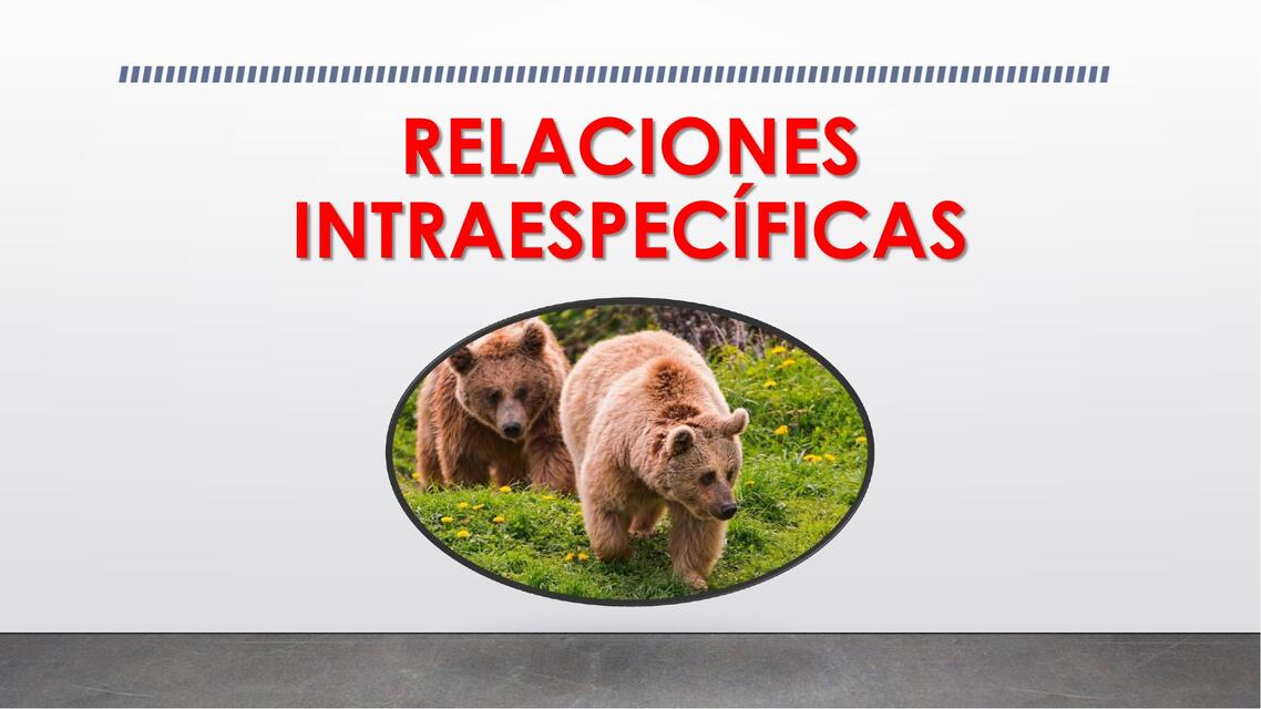 Relaciones intraespecíficas y relaciones interespecíficas | Full ...