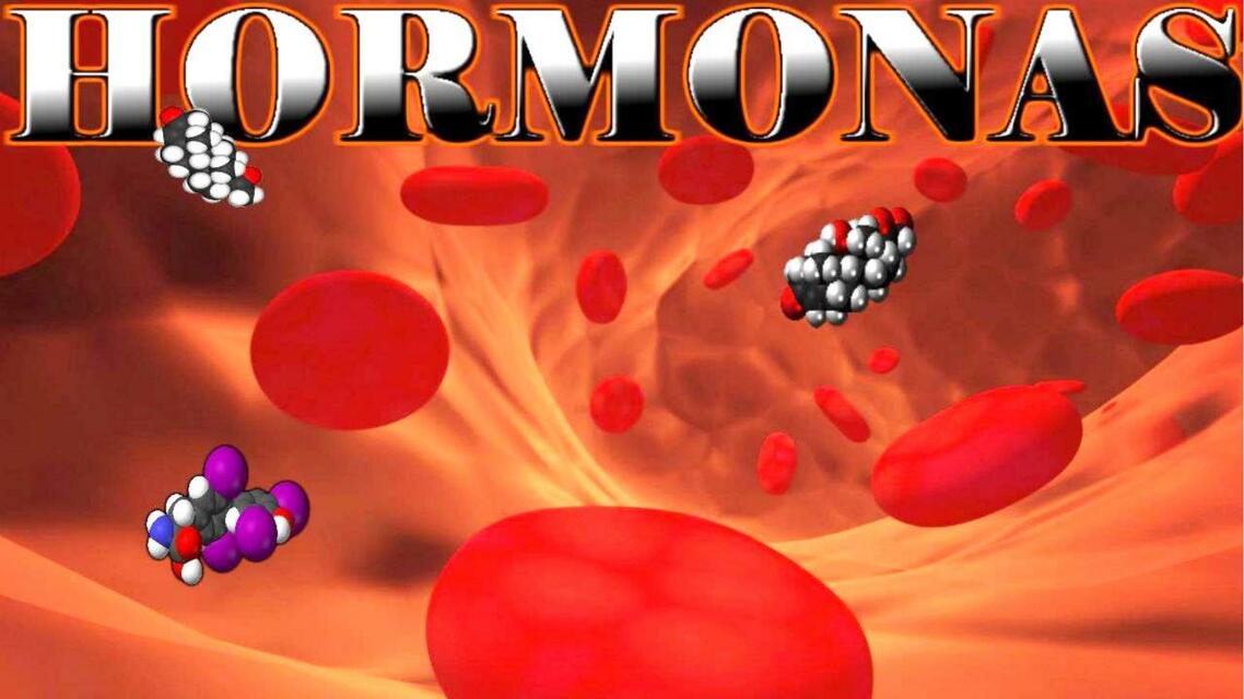 Hormonas | uDocz