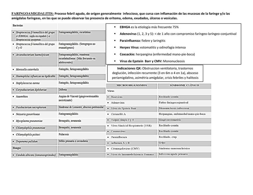 Faringoamigdalitis | valentina briceno | uDocz Faringoamigdalitis | valentina briceno | uDocz