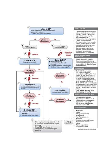 Algoritmo RCP | Julia Beatriz Silva De Queiroz | uDocz