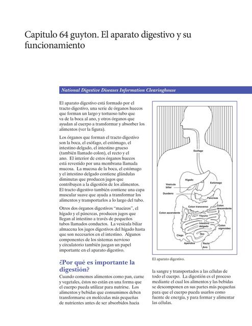 Capitulo 64 guyton El aparato digestivo y su funcionamiento | Biología General | uDocz