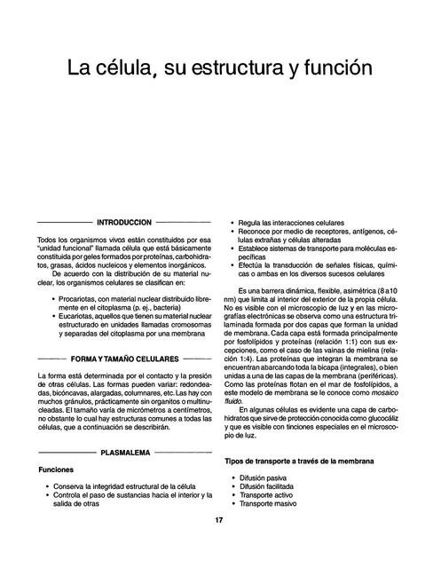 La célula su estructura y función | Biología General | uDocz