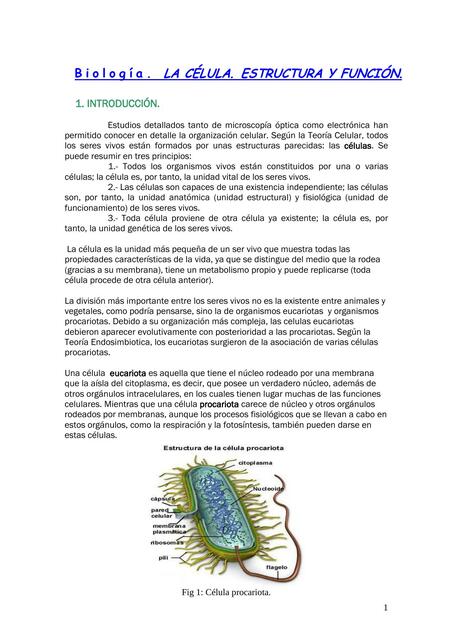 Biología La célula estructura y función | Biología General | uDocz