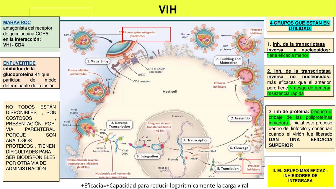 VIH | Eduardo Pineda | uDocz
