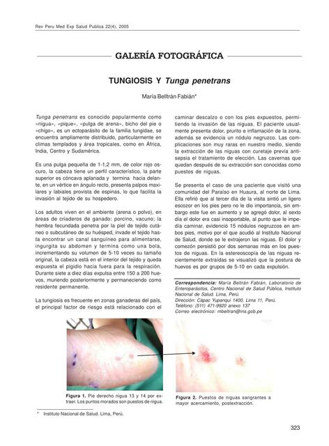 Tungiosis y tunga penetrans | Medicina y Farmacia | uDocz