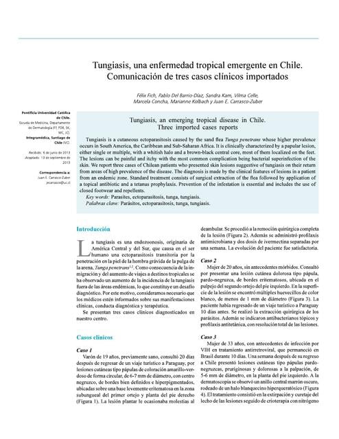 Tungiasis Una enfermedad tropical emergente en Chile | Medicina y ...