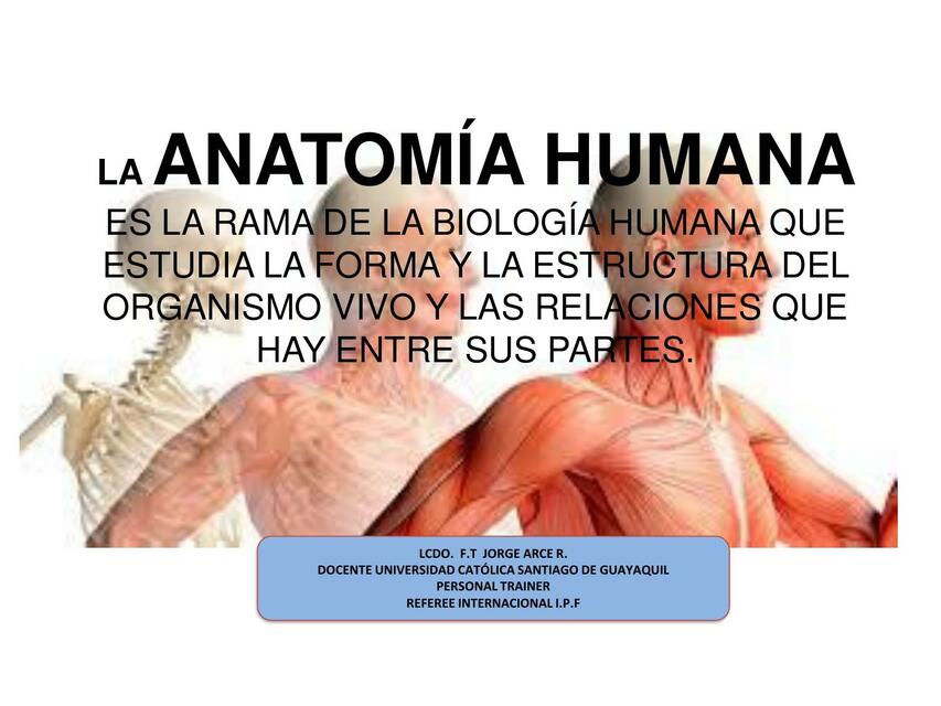 La anatomía humana | Nicole Patin | uDocz