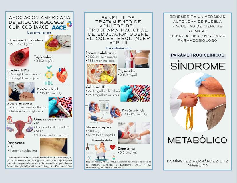 Parámetro Clínico Síndrome Metabólico | Ranita Cientifica | uDocz
